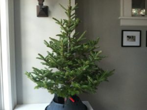 IDEA 74: MAKE A HOLIDAY KITCHEN TREE « BellaPamella